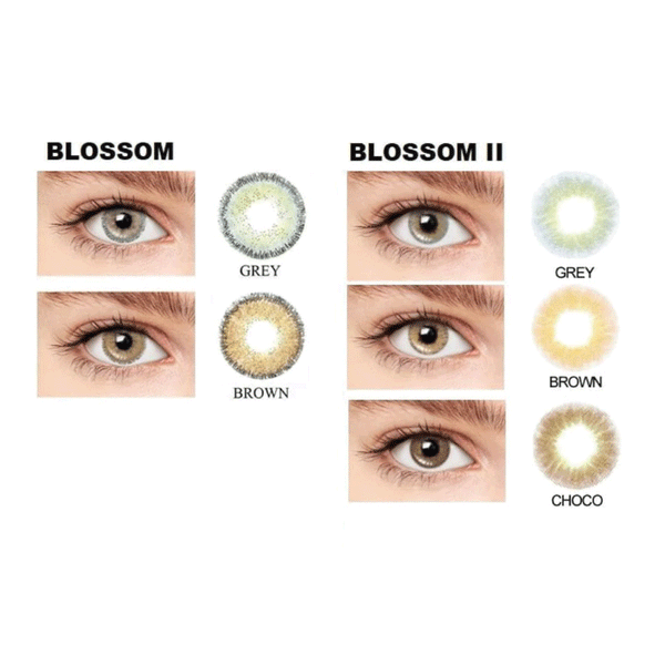 BLINCON Blossom I & Blossom II 3 Months (2 pcs) – EVO OPTOMETRY